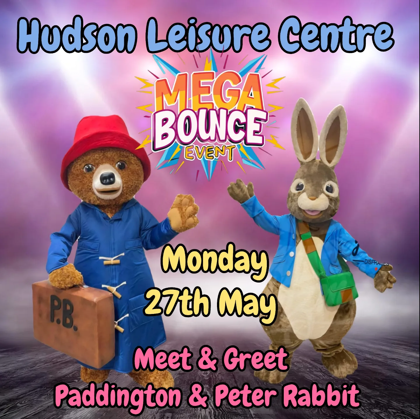 Mega Bounce Wisbech Captain Castles Entertainments